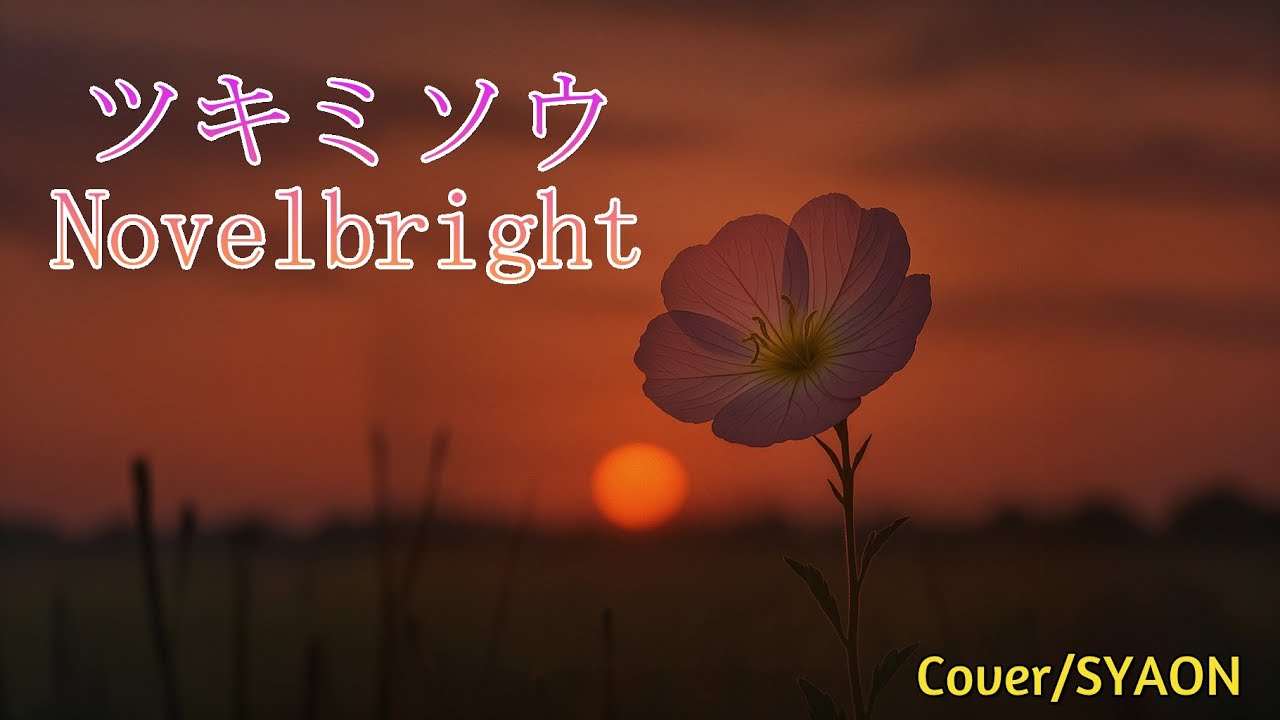 ツキミソウ/Novelbright 【Cover/SYAON】 - YouTube