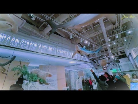 【4k – FREE Admission All Visitors】3rd Tuesday Nights【TORONTO Royal ...