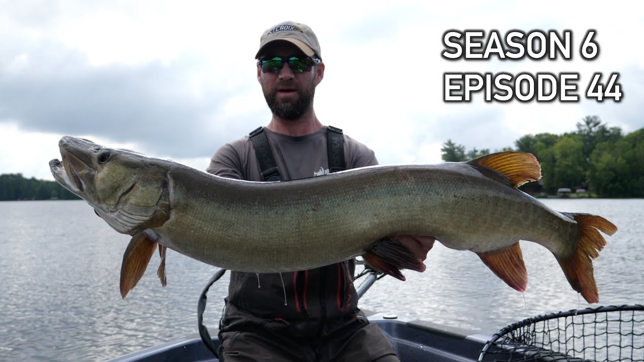 Trophy Northwoods Musky Kills Small Bucktail! EPIC FIGHT! S6.E44 - YouTube