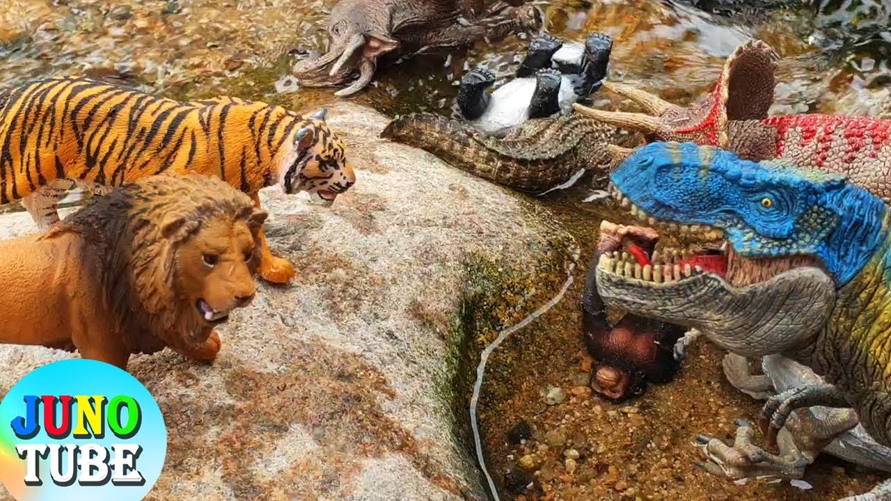 Lion&Tiger won against Tyrannosaurus_Learn Wildlife Animal Names #45 ...