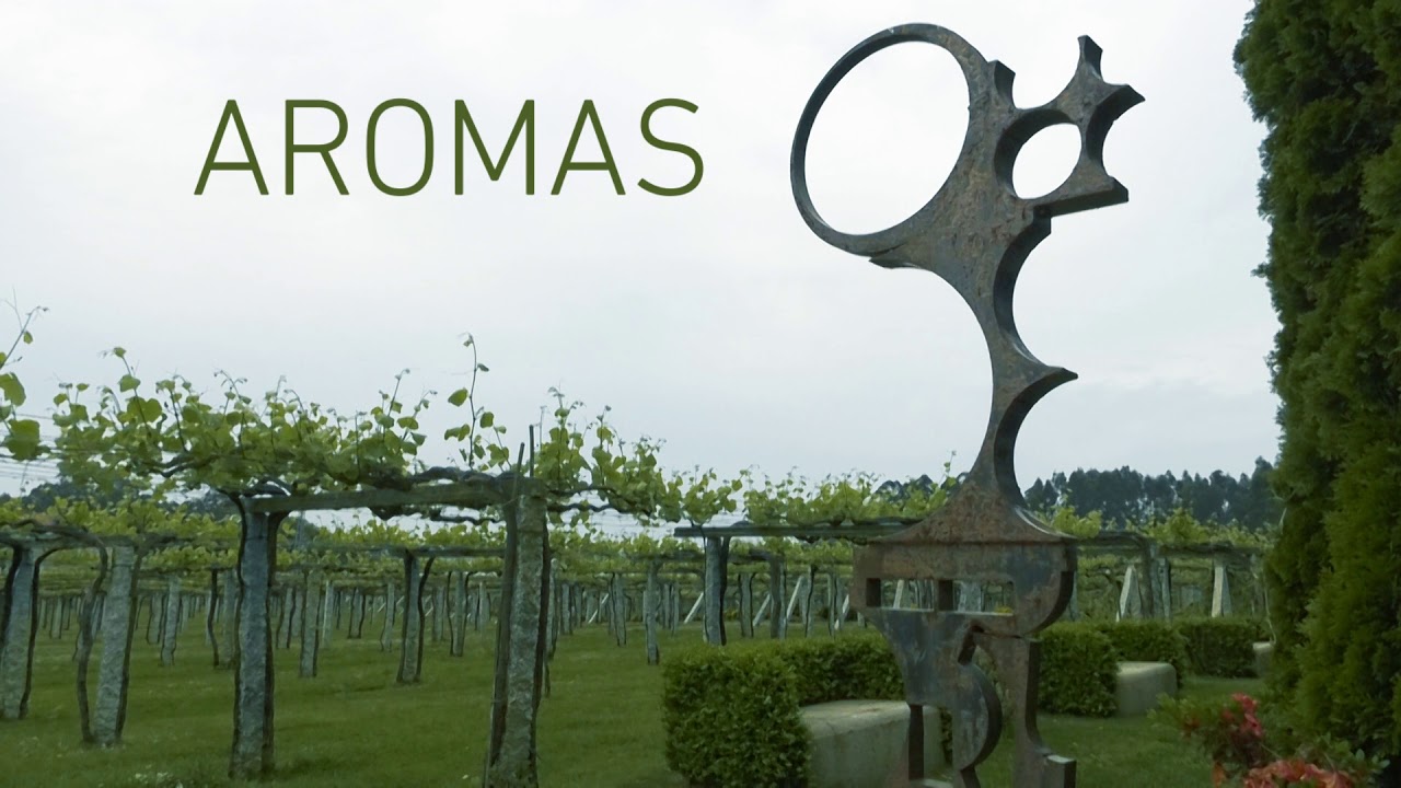 Bodega Lagar de Pintos en Ribadumia - YouTube