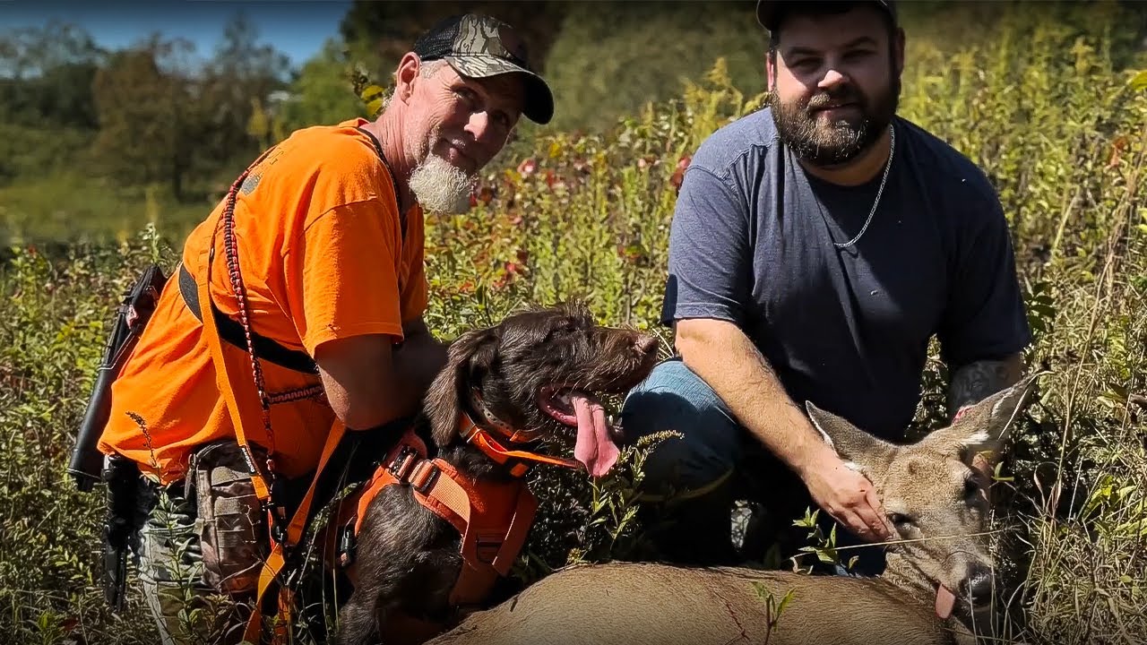 Blood Trailing Dog "Rollo" Tracks a Doe - YouTube