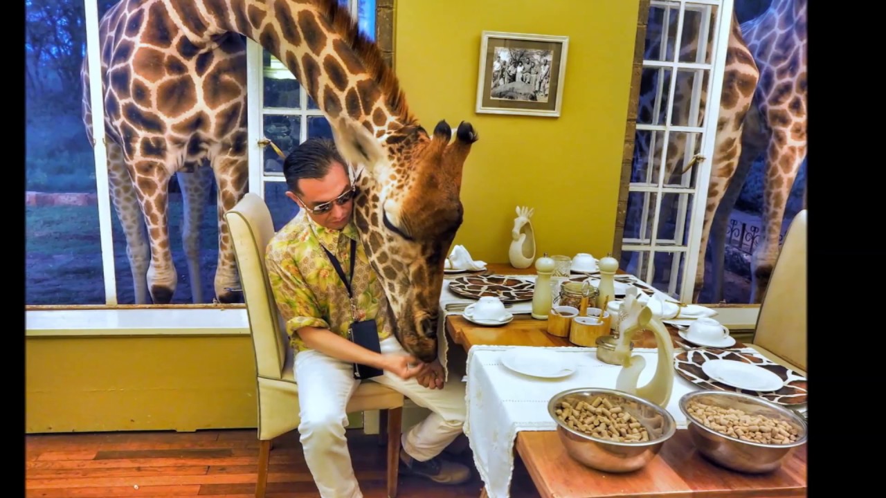 Les Go de Koteba - Dan Gna 1999 - YouTube