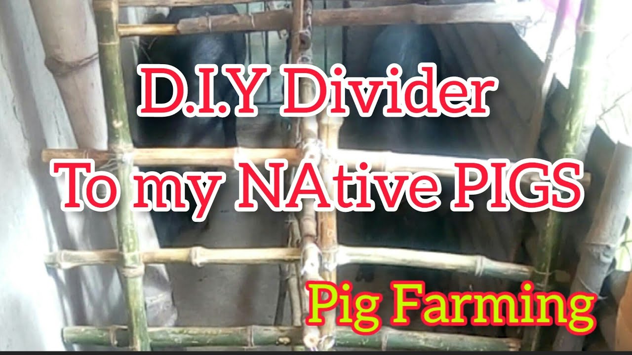 D.I.Y DIVIDER SA NATIVE BABOY | GAMIT ANG BAYOG, KAWAYAN /BAMBOO ...