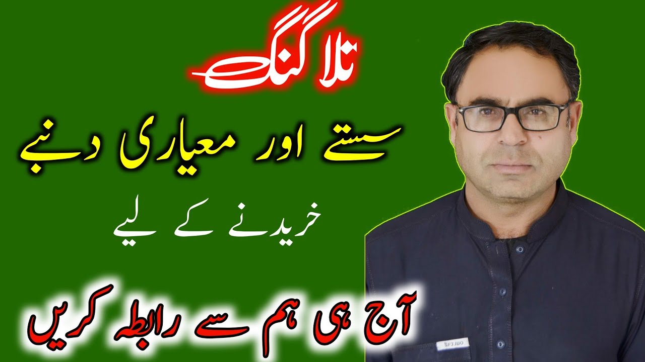 400 Sheep's in Talagang Jhatla Zor Khan Blood Line - YouTube