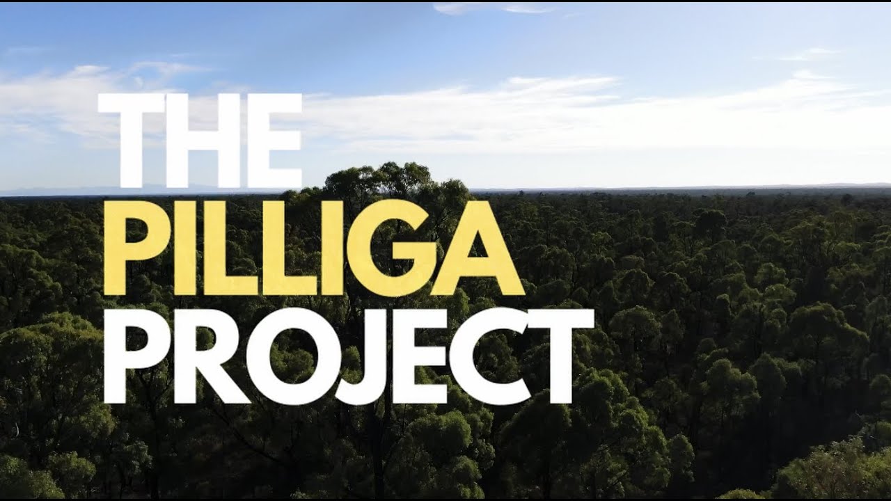 The Pilliga Project - trailer - YouTube