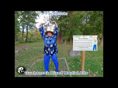 Guabancex Mixed Martial Arts - YouTube