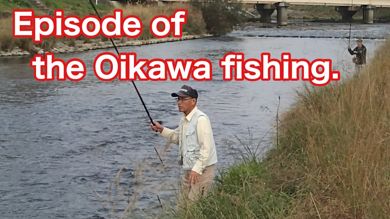979_【Episode of the Oikawa fishing】 晩秋のオイカワ釣り。 Oikawa fishing in late ...