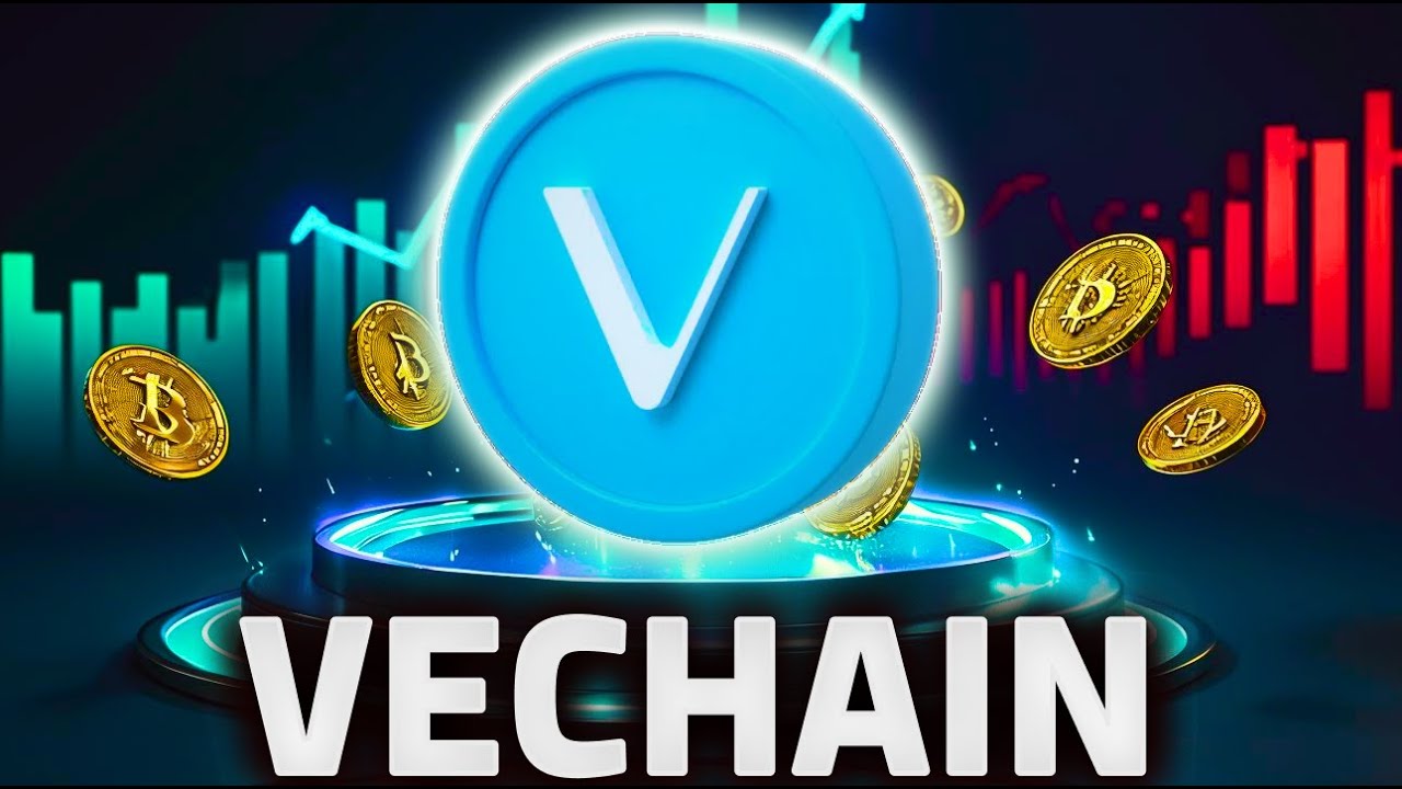 VECHAIN: Is This the Start of the MASSIVE Bull Run We’ve Been Waiting ...