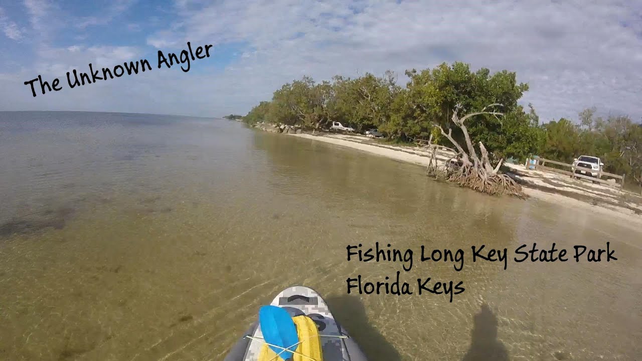 Kayak / Fishing Tour Long Key State park, Florida Keys - YouTube