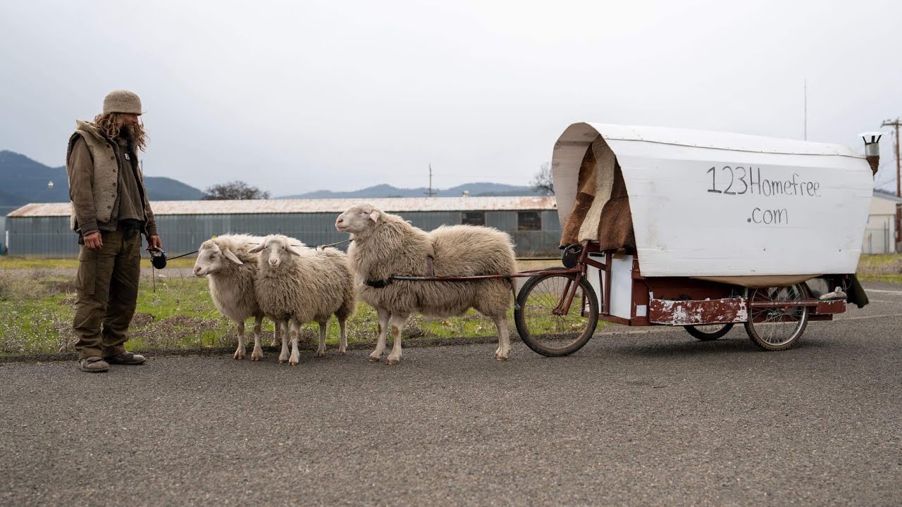 DIY handcart home!(blueprints included) - YouTube