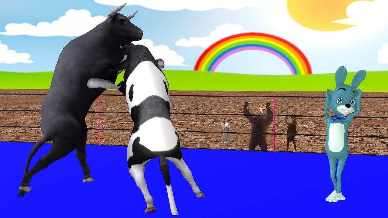 Animals wrestling cartoon for kids #z toddlers and babies animation ...