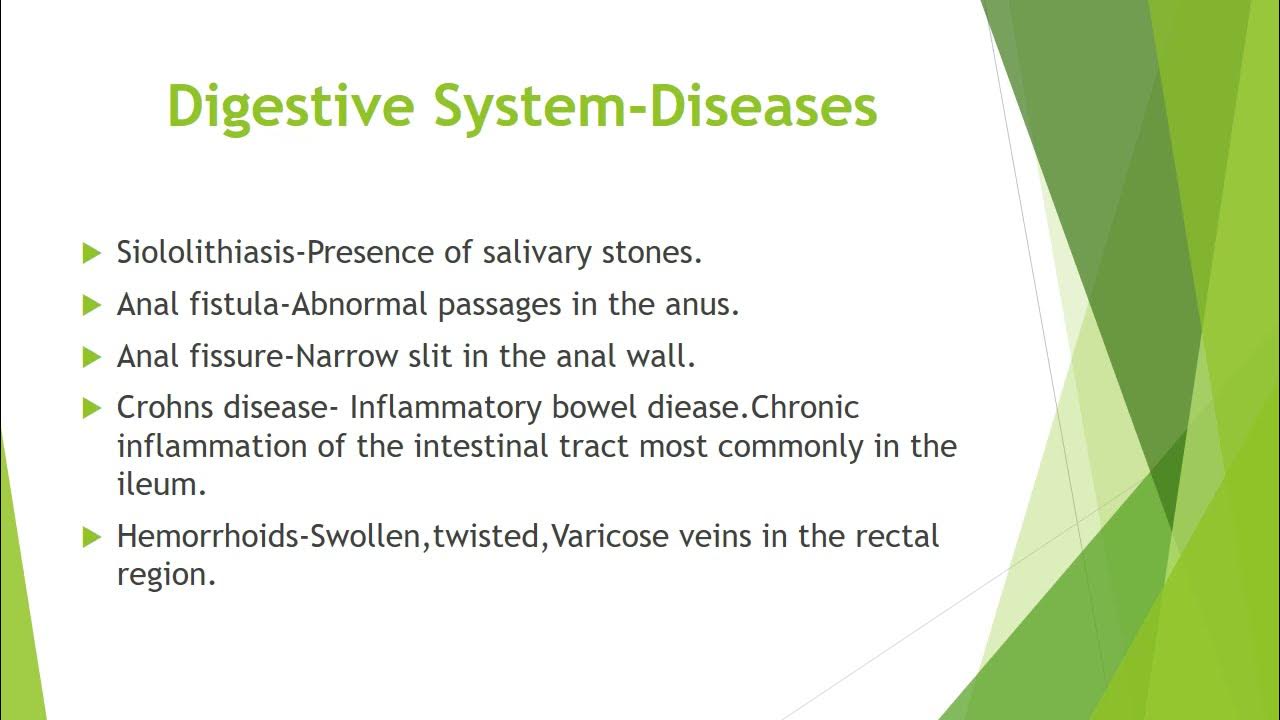 Medical Coding Basics For Freshers-Digestive System - YouTube