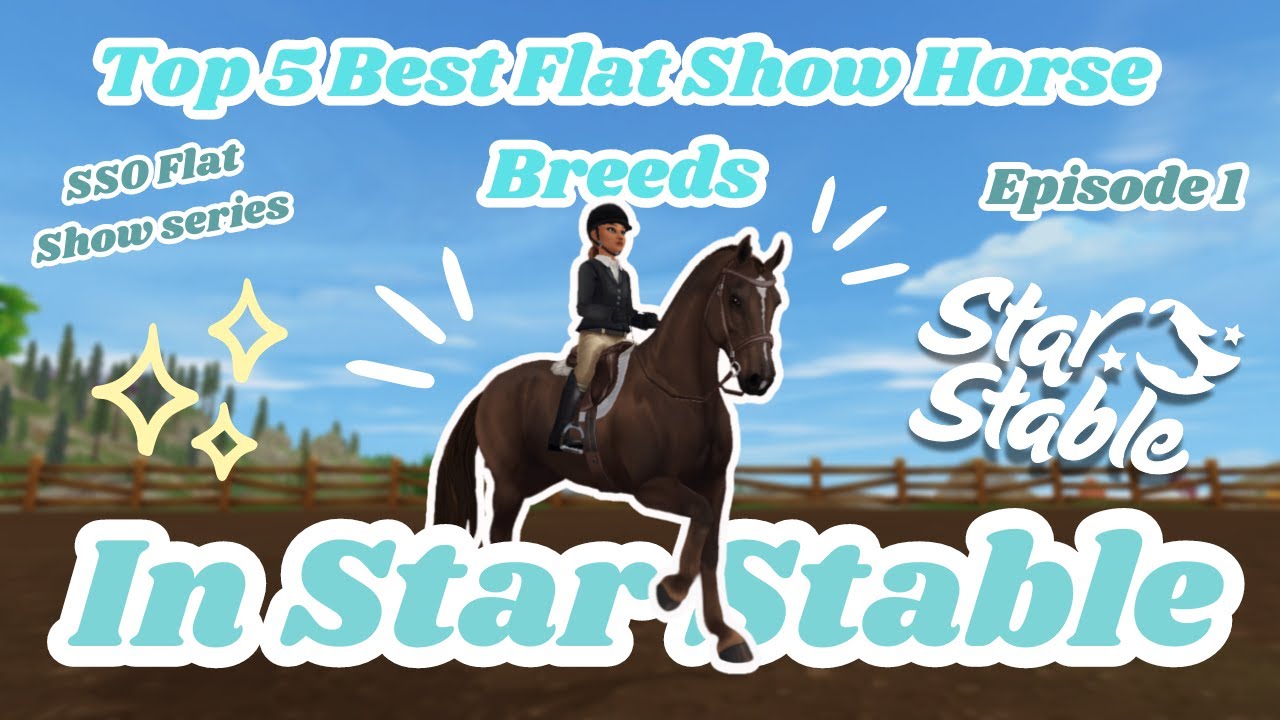 SSO Flat Shows Ep 1 || Top 5 Best Horse Breeds for Flat Shows! |SSO ...