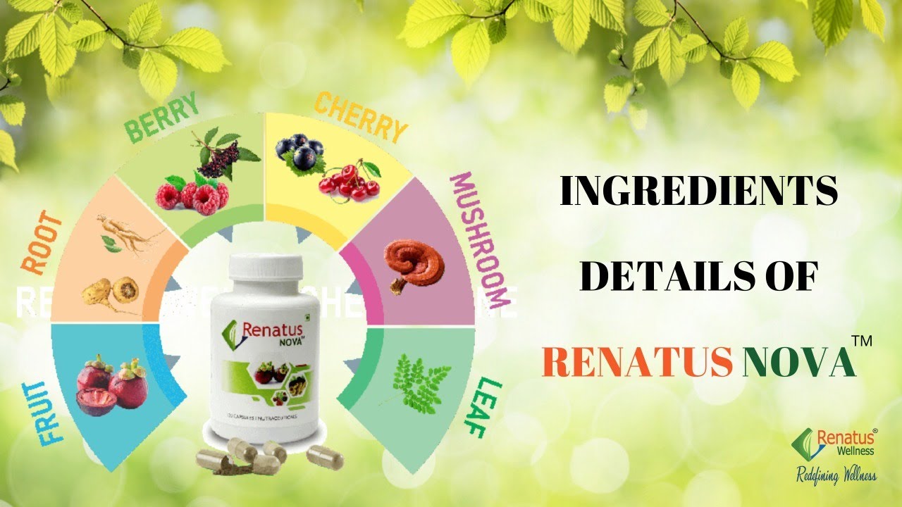Ingredients Details of Renatus Nova | Renatus Wellness Pvt. Ltd. - YouTube