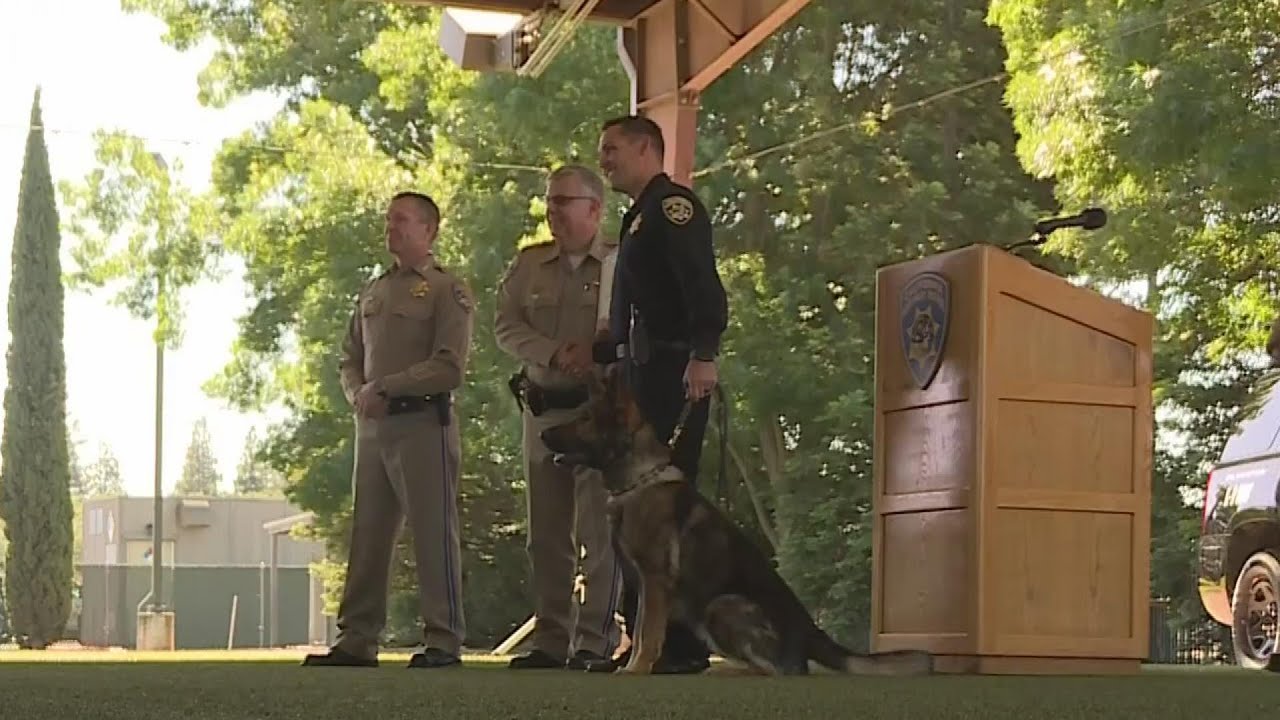 9 New Teams Graduate From CHP Canine Academy - YouTube