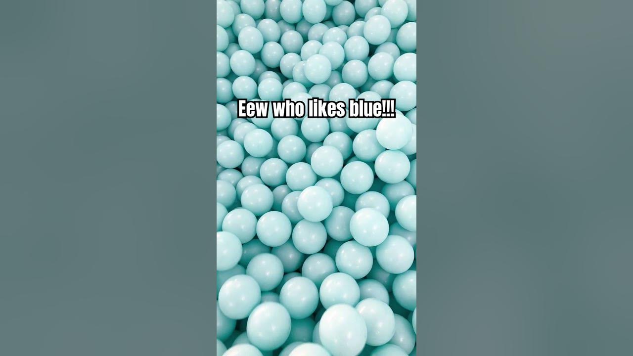 19 November 2024 - YouTube