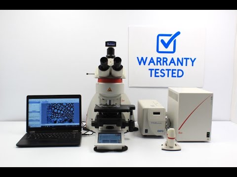 Leica DM6 Fluorescence Microscope with Mechanical stage and EXFO Light ...