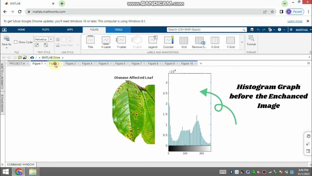 GUAVA LEAF DISEASE DETECTION USING COLOR REGION SEGMENTATION AND ...