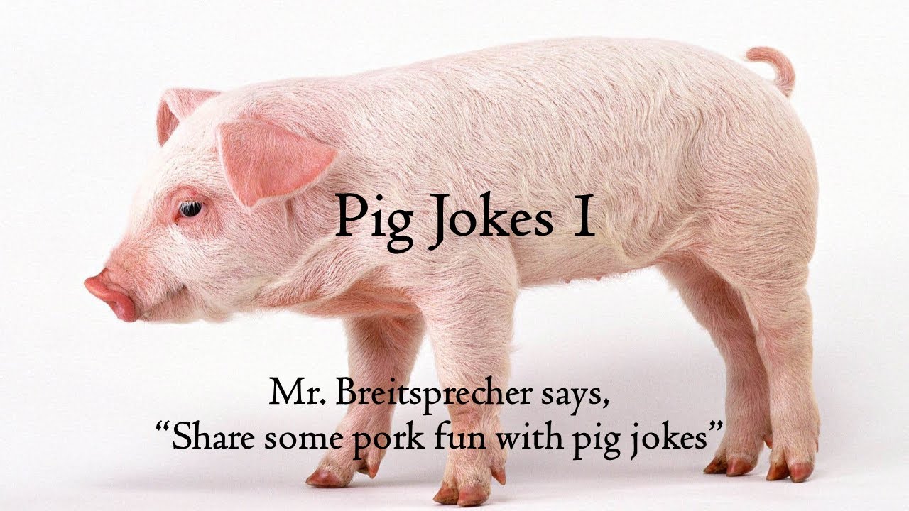 Pig Jokes 1 (no audio) - YouTube