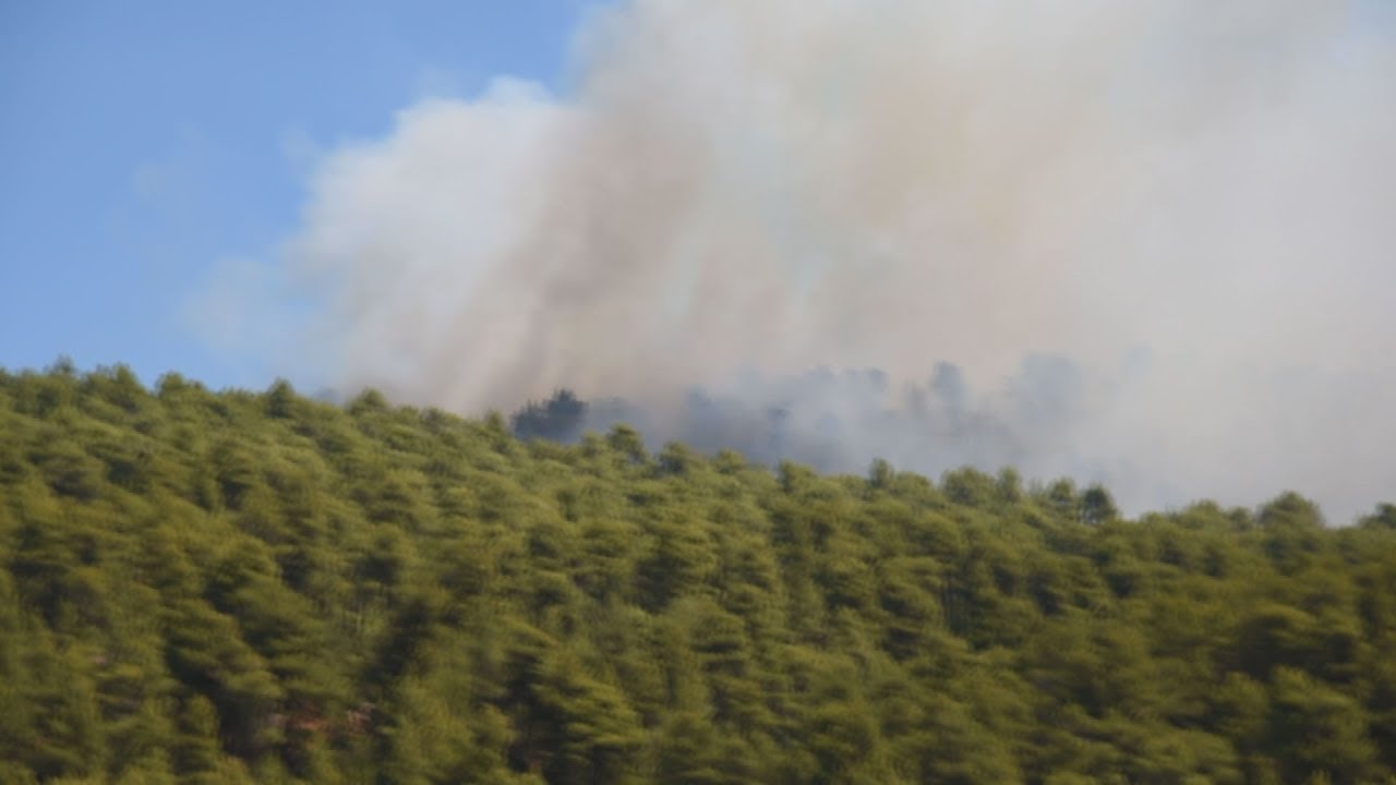 Ενισχύονται συνεχώς οι πυροσβεστικές δυνάμεις στο μέτωπο της πυρκαγιάς ...