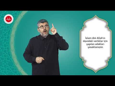 ADAK 2 Cümle Örneği