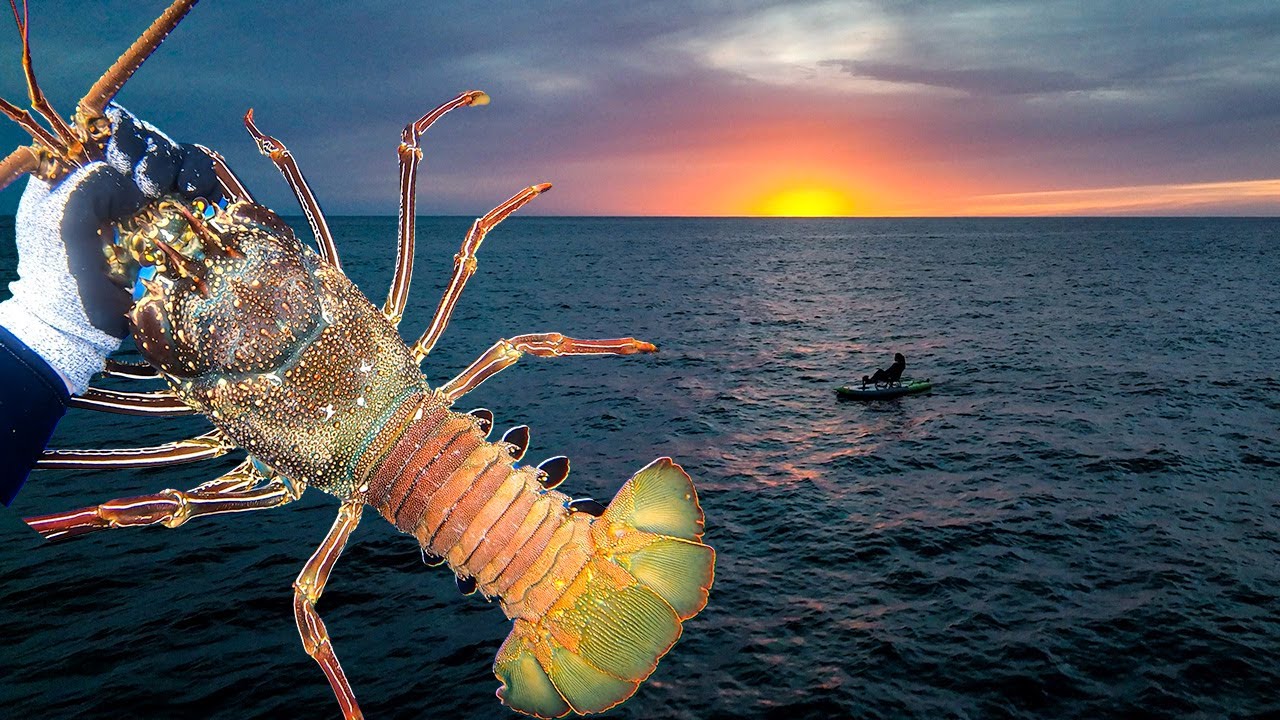 Night Diving for Giant Hawaiian Lobster - YouTube