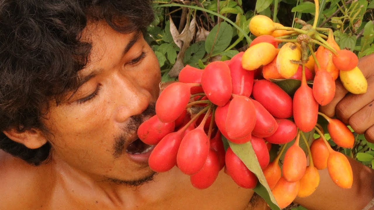 Bushman Find food with Smart Dog meet natural fruit for eat - YouTube