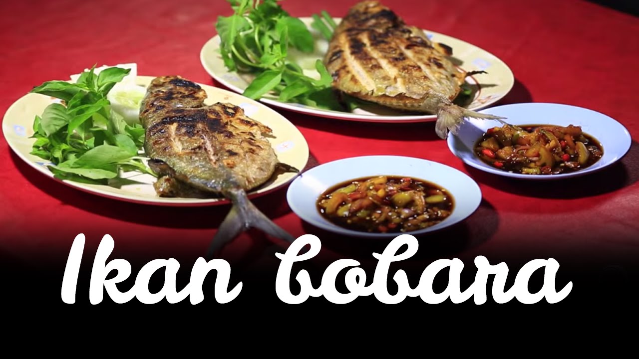 Ikan Bobara - YouTube