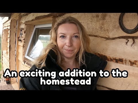 We take delivery of a new addition to the homestead. Episode 24 - YouTube