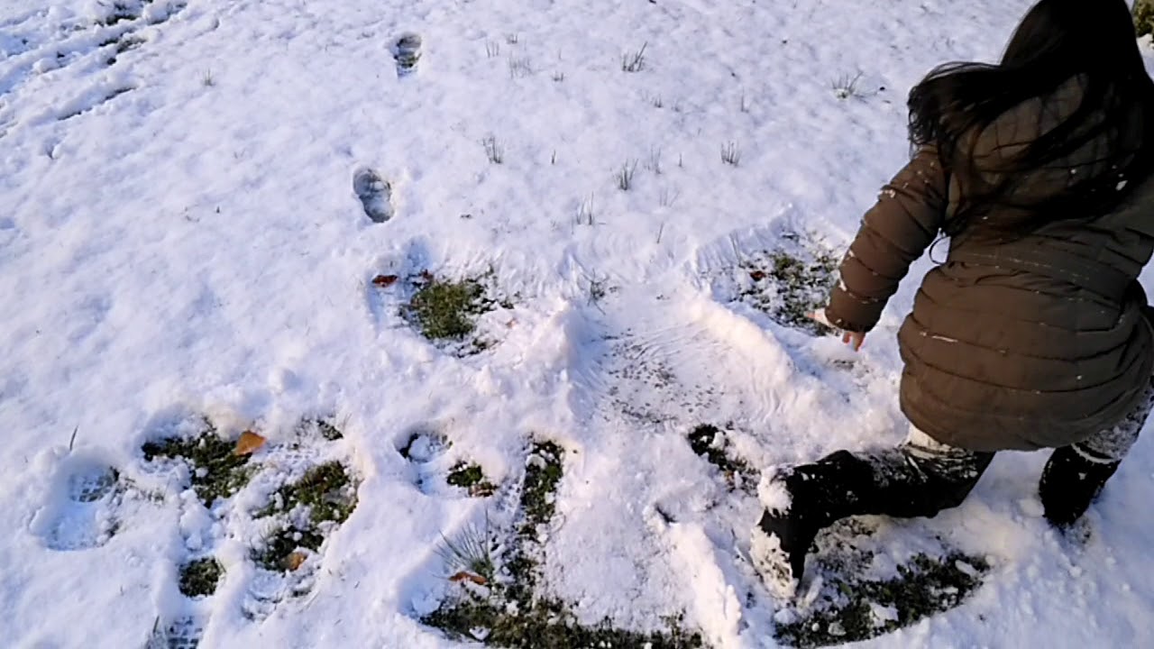 Mi primer angelito en la nieve de Suiza - YouTube
