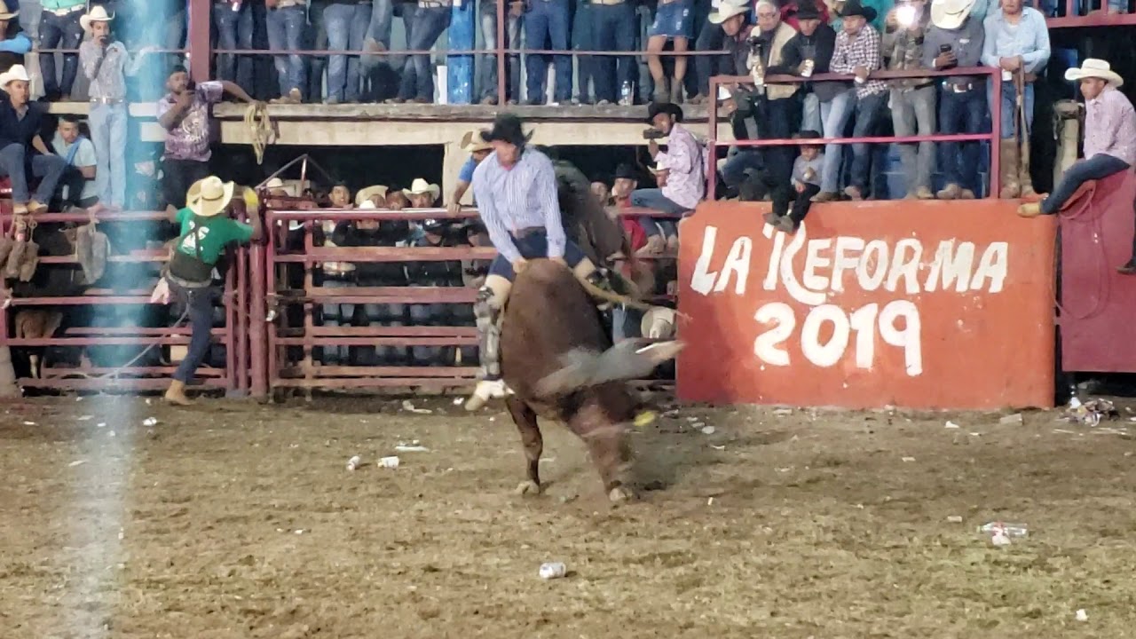 Pedro Padron vs El Guachichil de Rancho La Huerta - YouTube