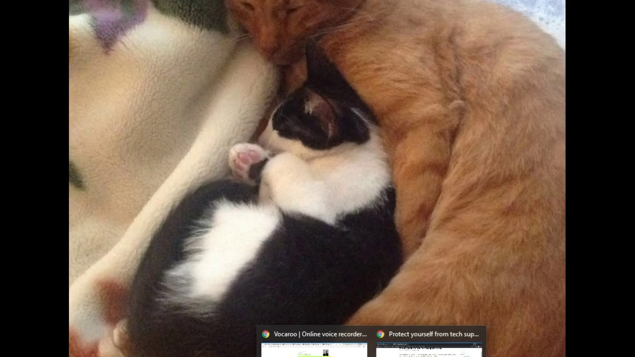 Telephone Scam Using FastSupport to Try Gaining Comp Access - YouTube