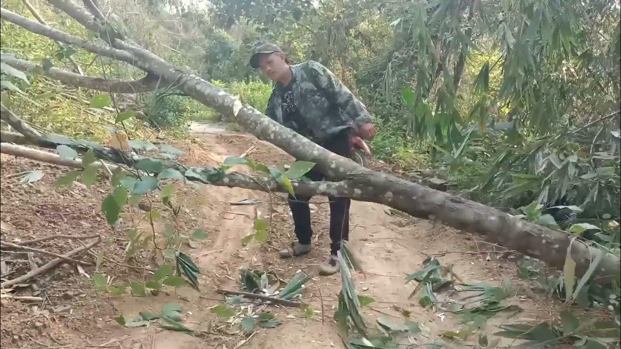 dab teem wb mus kuaj nceb thiab saib nceb puas tuaj. may, 08,2024. - YouTube