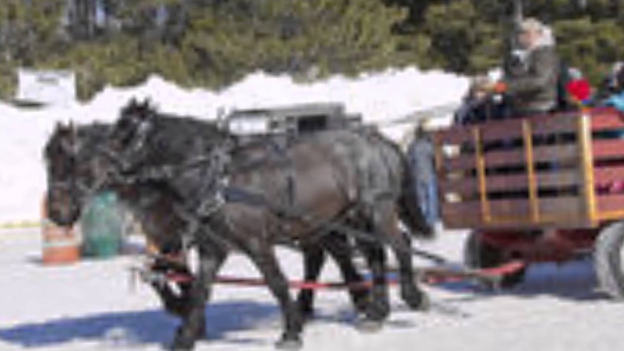 Sleigh Road - YouTube