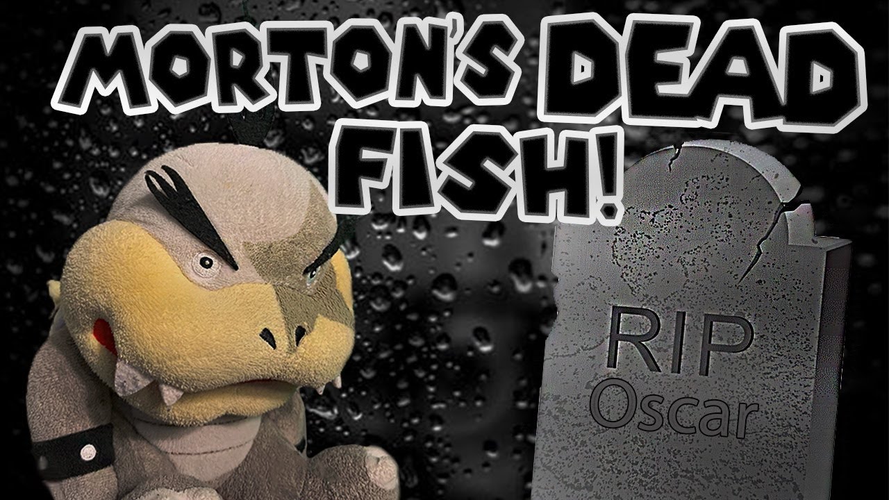 Morton's Dead Fish! - Super Mario Richie - YouTube