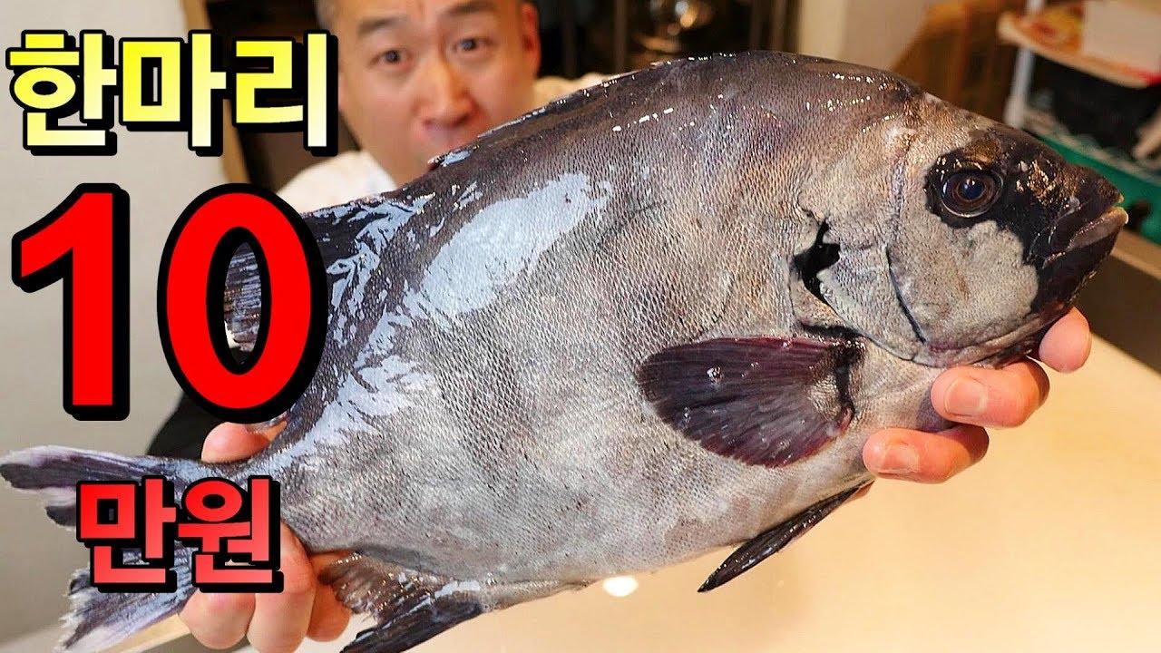 자연산 돌돔 오로시영상 사시미 맛은? How to Fillet Striped beakfish - YouTube