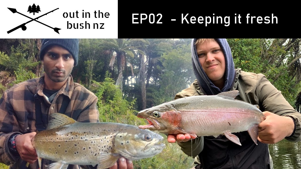 Back to Fresh - Trout fishing in the bush featuring Kiwi Fisher - YouTube