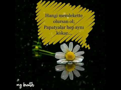 ❤wapshapp durum anlamli ve manali sözler ❤2022👉 tek bir insan istiyorum tekrarı olmayan 👈