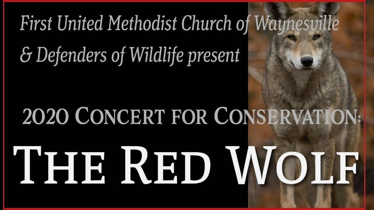 2020 Concert for Conservation: The Red Wolf - YouTube
