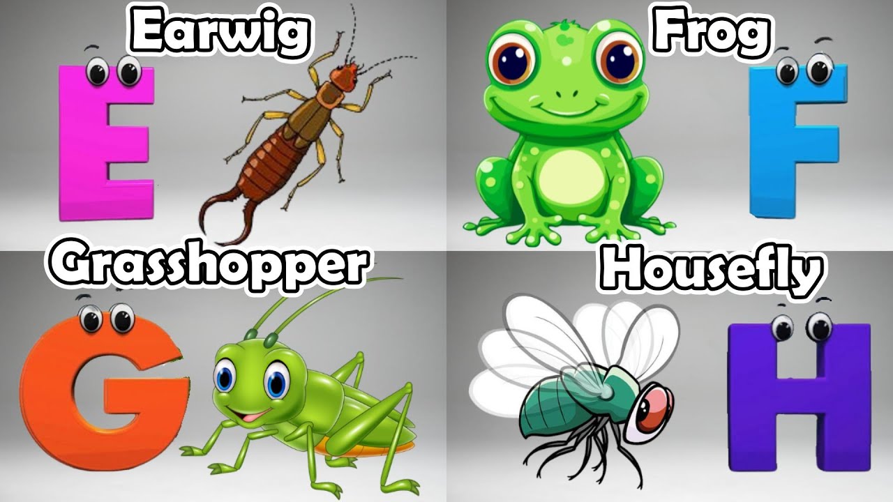Insects ABC Song for Kids | Insects for Kids | Phonics for Kids ...