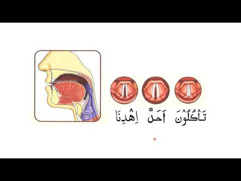 Tajweed Series Bangla 6 - Makhraj Al Halq - YouTube