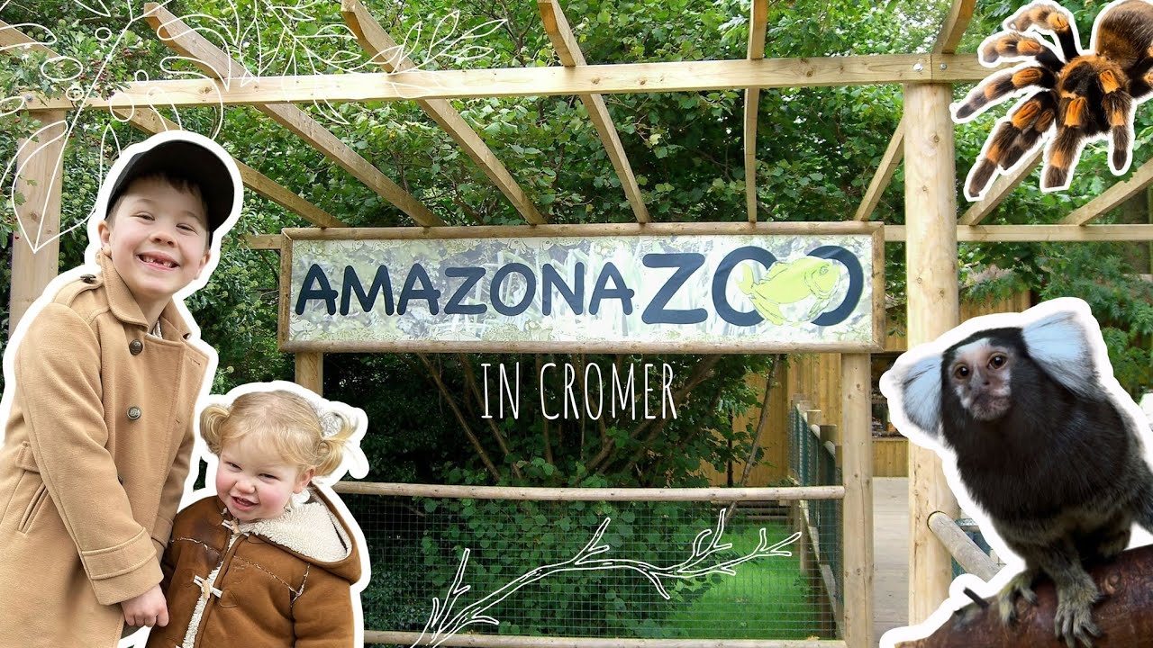 Amazona Zoo Vlog | Cromer | Norfolk - YouTube
