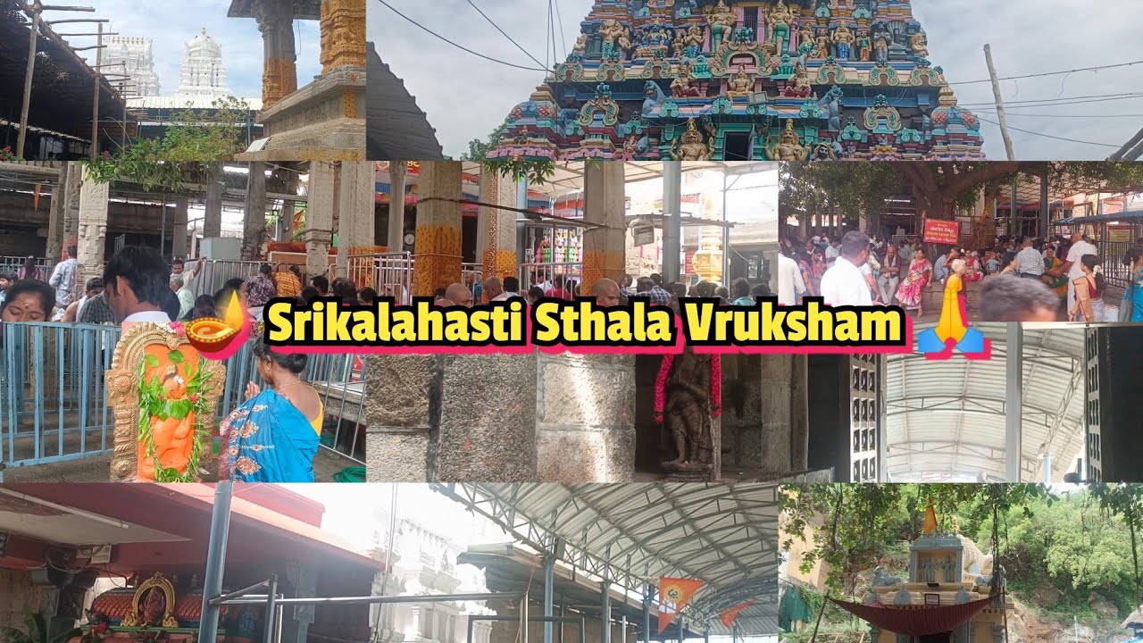 Srikalahasti SthalaVruksha/RahuKethu Pooja Mandapam/Pathala Vinayagar ...