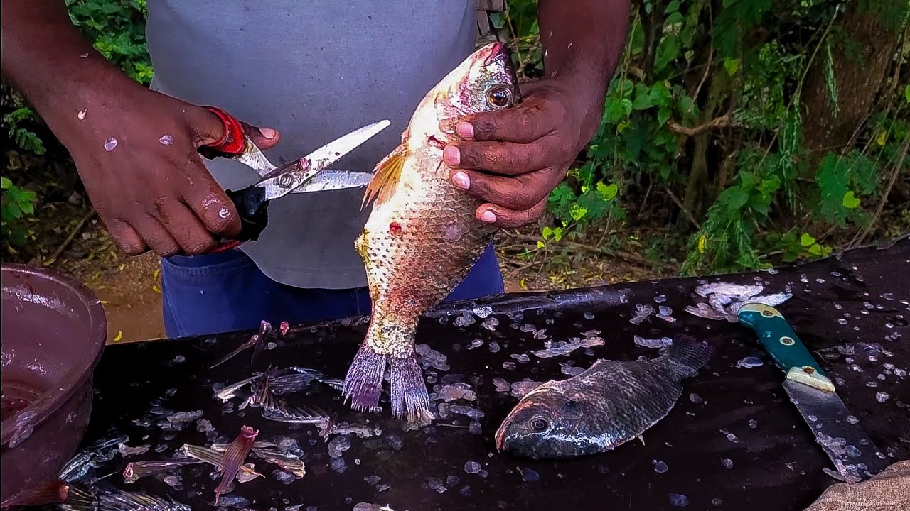 Unveiling Fish Cutting Secrets: Master the Art of Preparing Thilapia ...