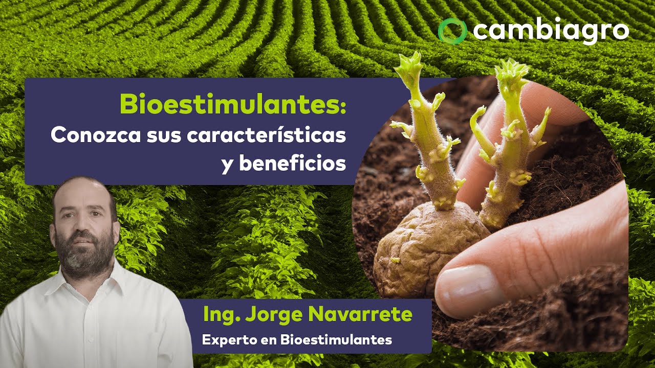 Bioestimulantes: Conozca sus características y beneficios. 🌱 - YouTube