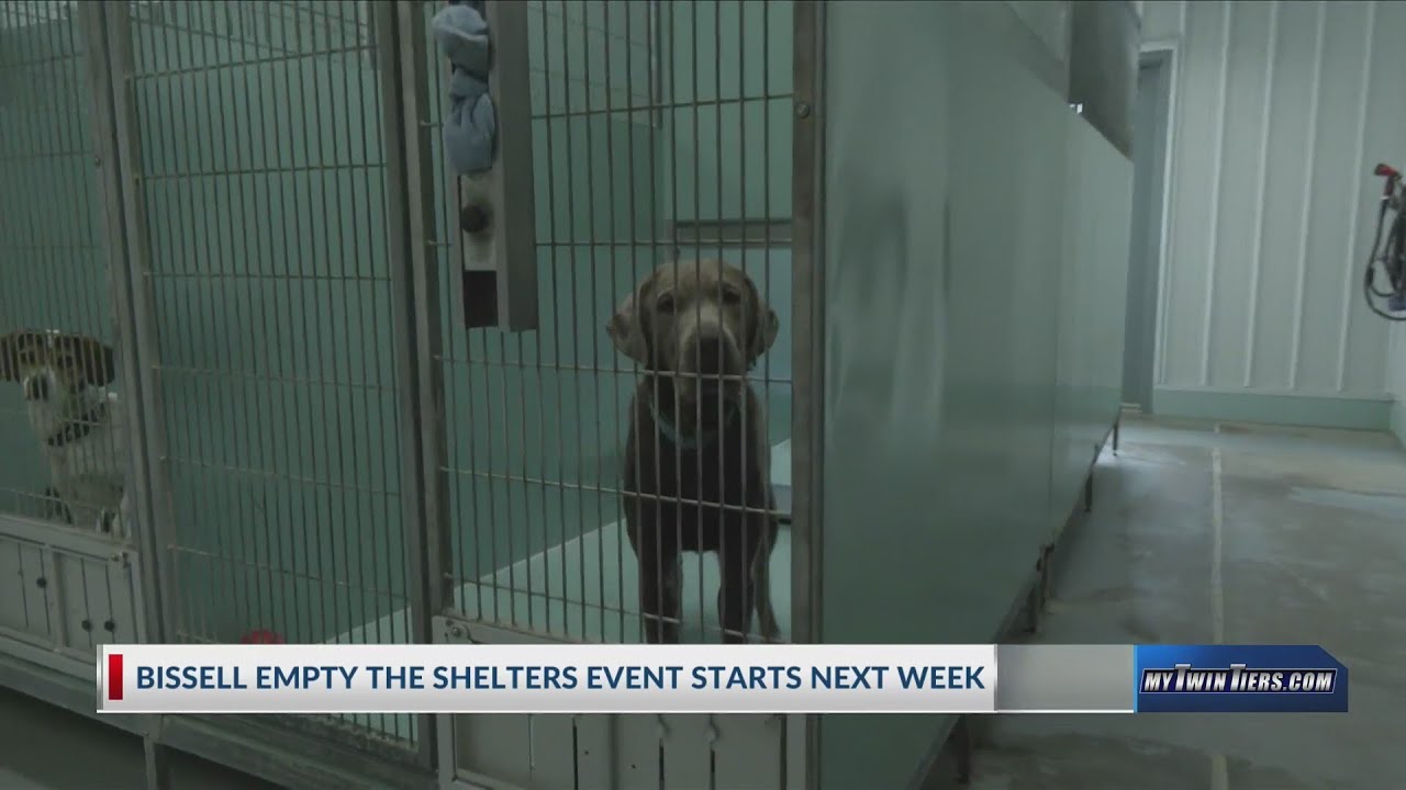 Bissell Empty the Shelters event returns to Schuyler County - YouTube