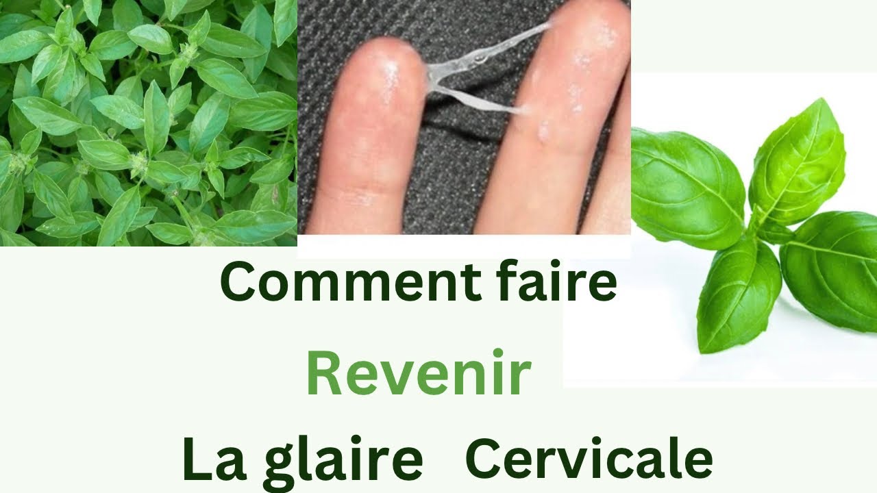 Comment faire revenir la glaire cervicale - YouTube
