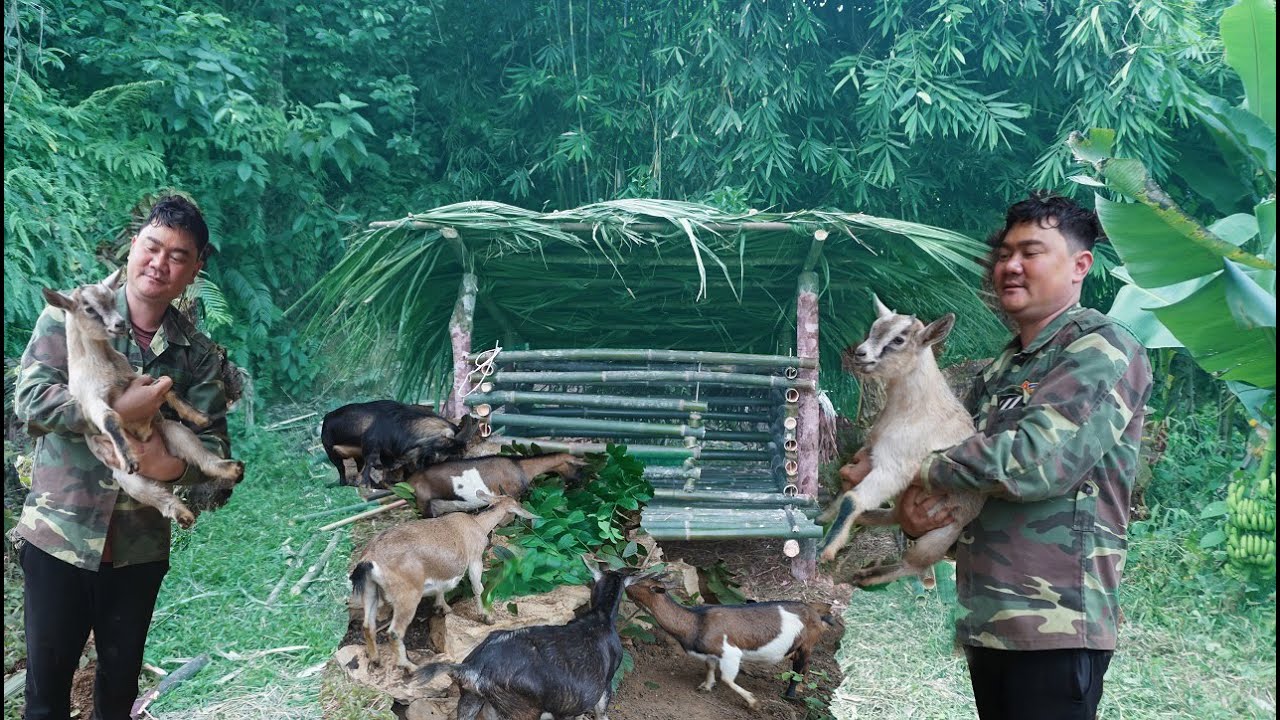 Pumping water to irrigate vegetables. Raising more goats on the farm ...