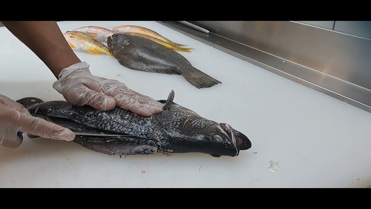 How to fillet seabas fish | How to cut a whole fish fillet | Fish ...